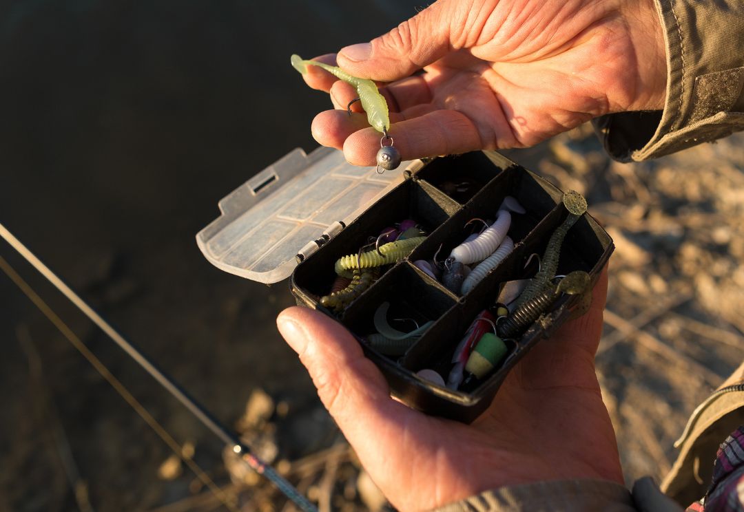 How to Fish With Artificial Bait at Sea? – Casa Favais